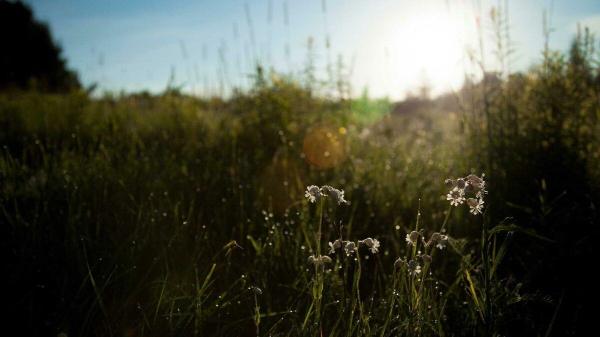 5 Effective Methods to Remove Scratches from Acrylic Surfaces