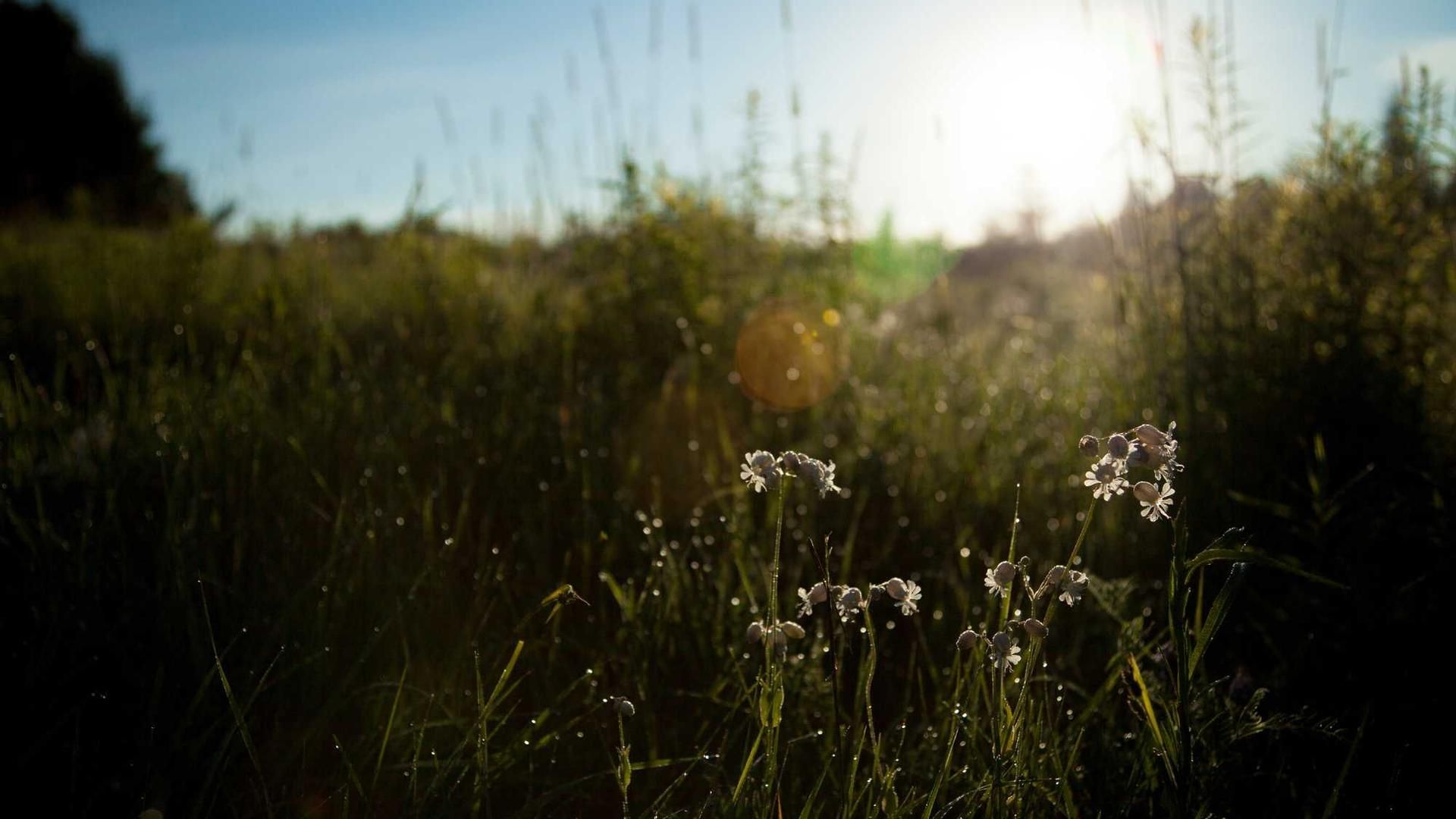 Guide to Understanding Acrylic Sheet Thickness: Pick the Best Option