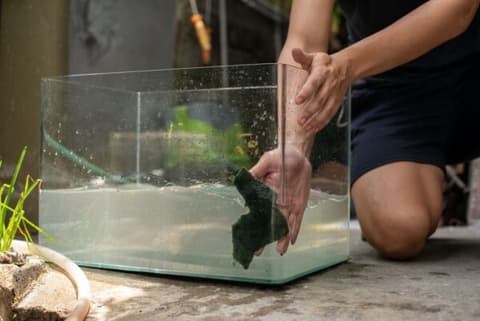How to Clean Plexiglass Safely without Scratching: Ultimate Guide